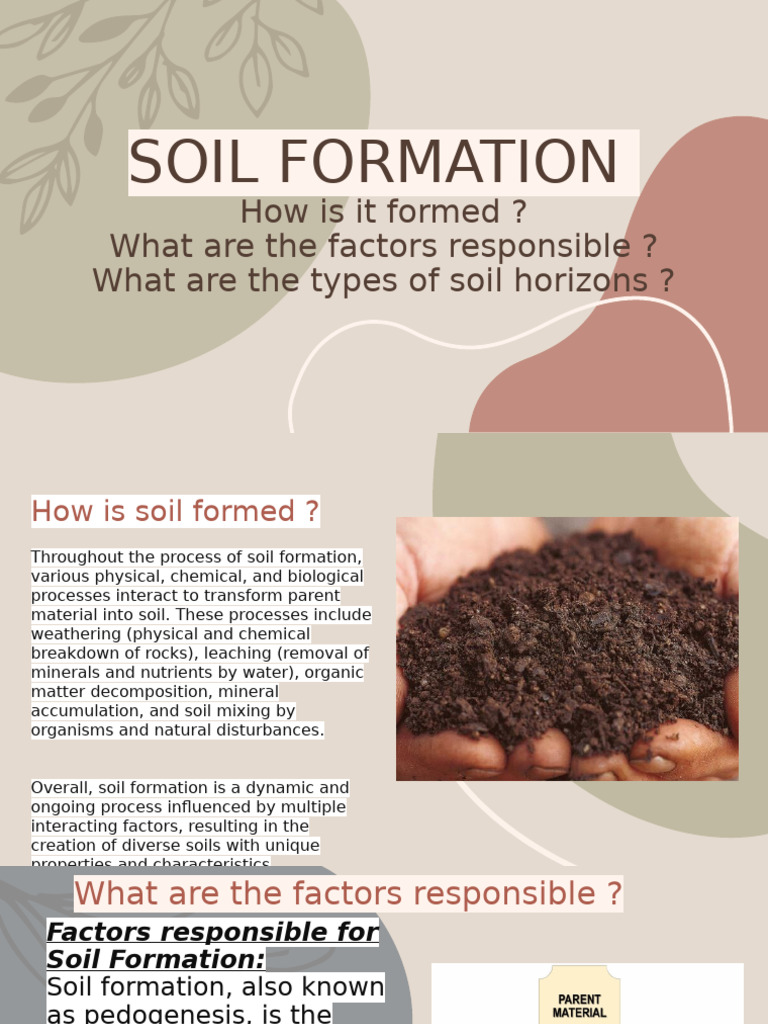 SOIL FORMATION | PDF | Soil | Landscape