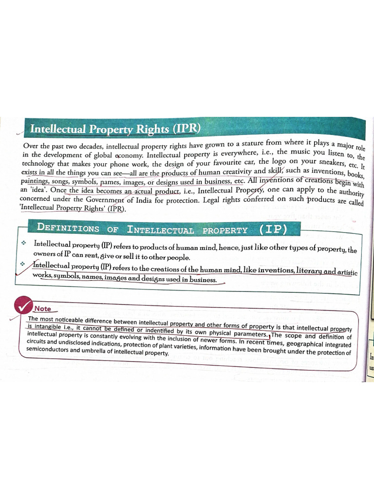 Intellectual Property Rights | PDF
