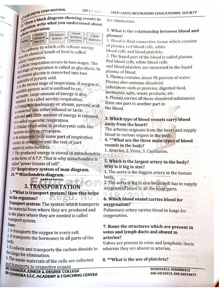Grade 10 bio lesson no -3 Transportation | PDF