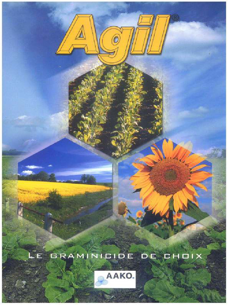 Fiche Technique Agil-V-Web-2021-2 | PDF