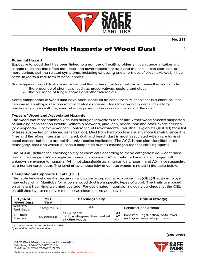 Health Risks of Wood Dust Exposure | PDF | Personal Protective ...