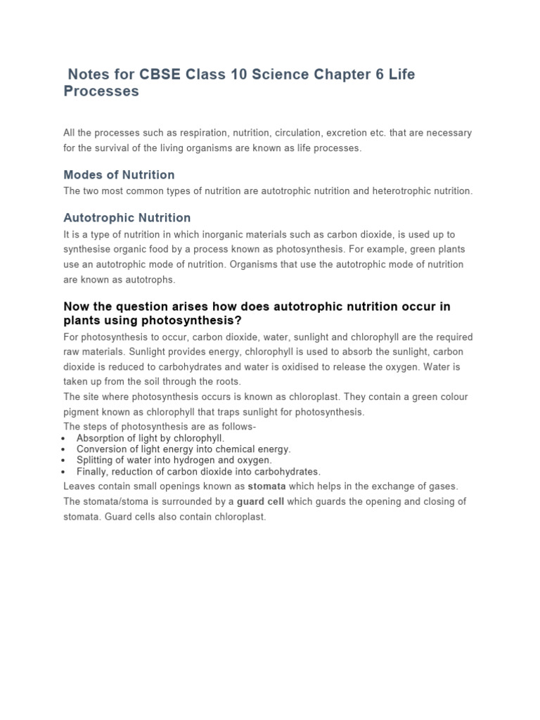 Class 10 Bio Life Processes | PDF | Digestion | Heart