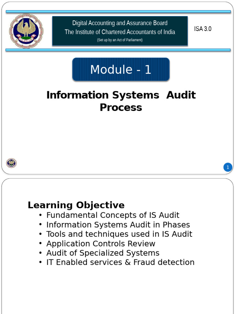 module_1 IS Audit Process | PDF