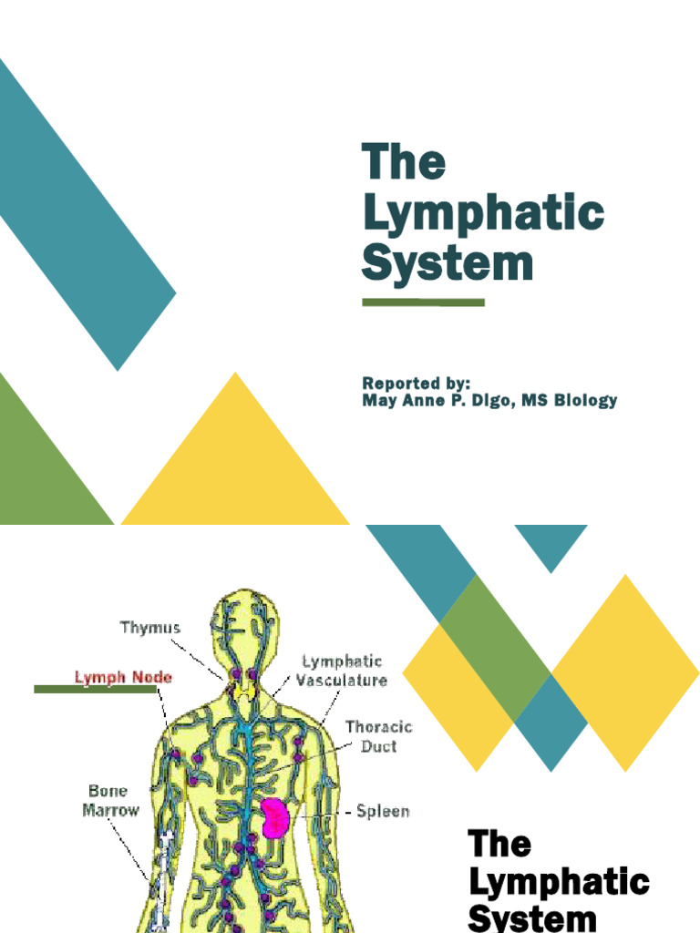 The Lymphatic System 1 | PDF