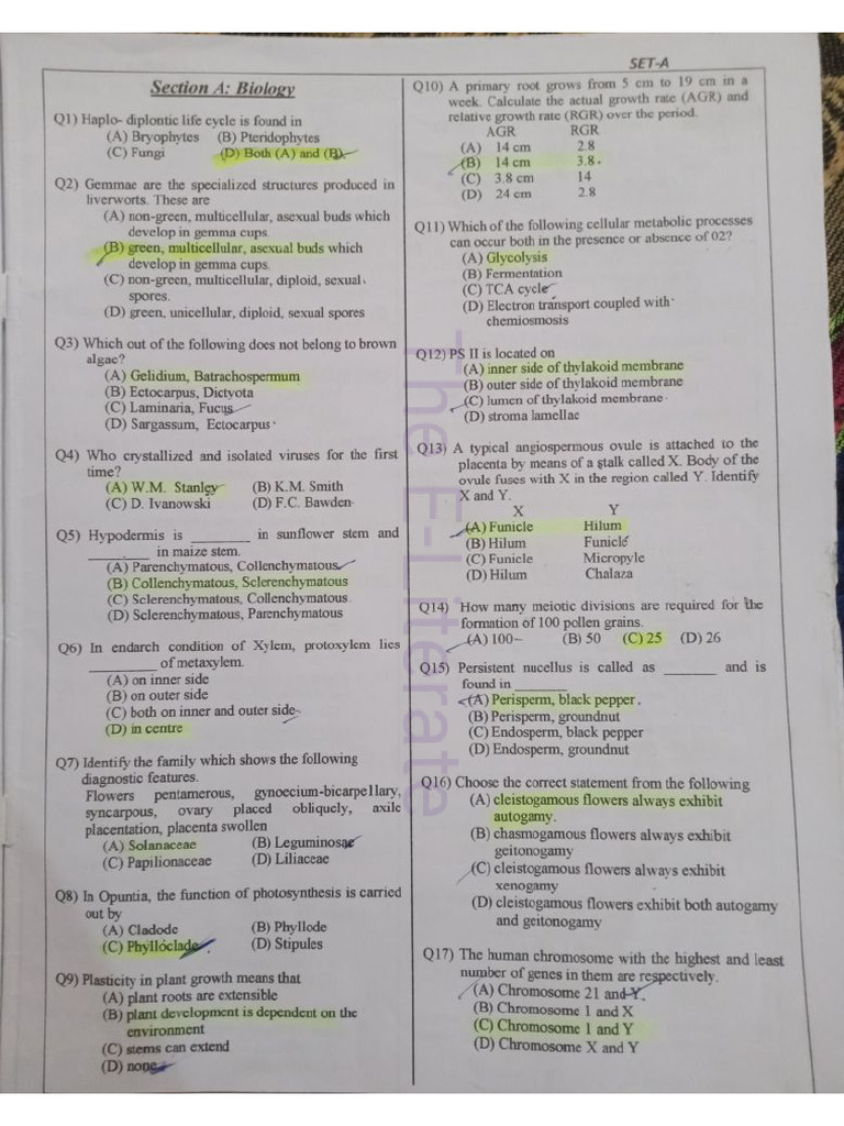 SJ 21opdf - 1206221343026 | PDF