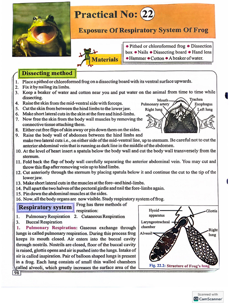 Bio 12 Practicals | PDF