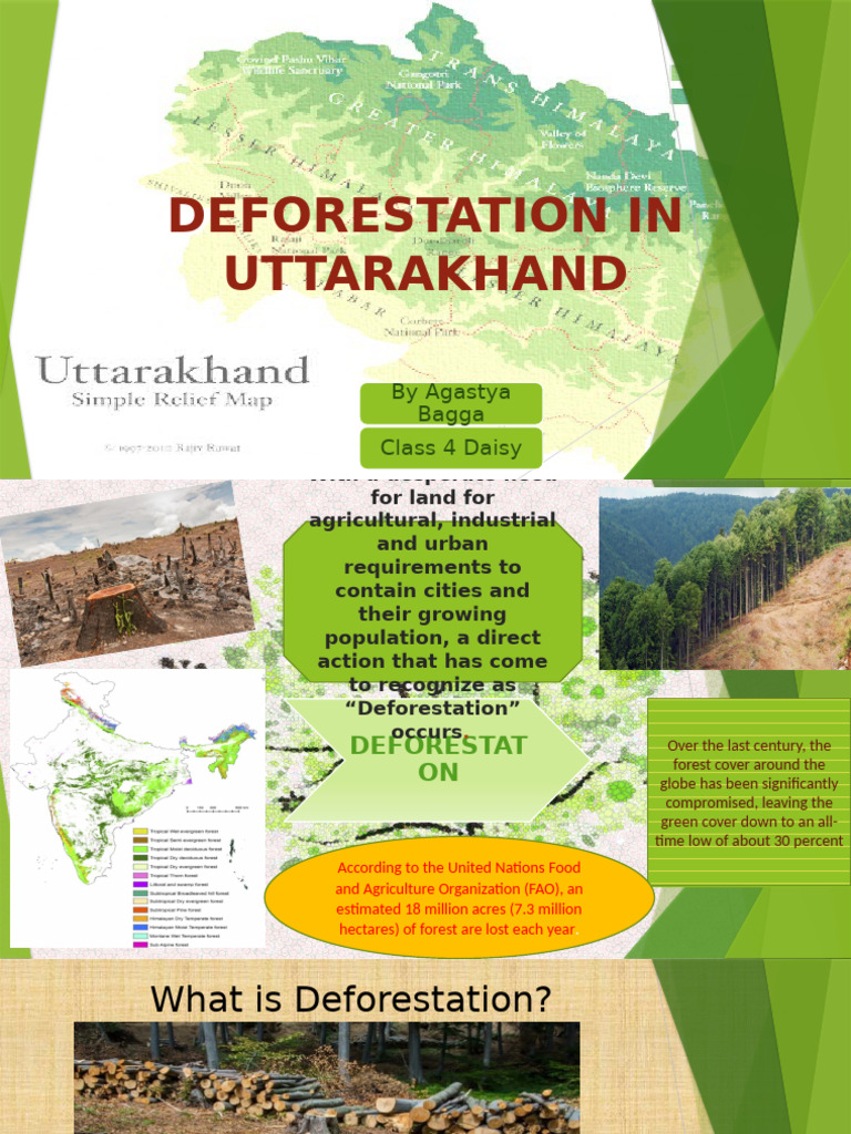 Deforestation Impact in Uttarakhand | PDF