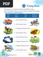 The Rainbow Serpent (Dick Roughsey) | PDF