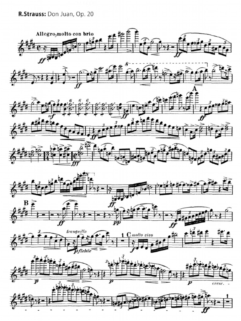 Clean Practice Part - Don Juan | PDF