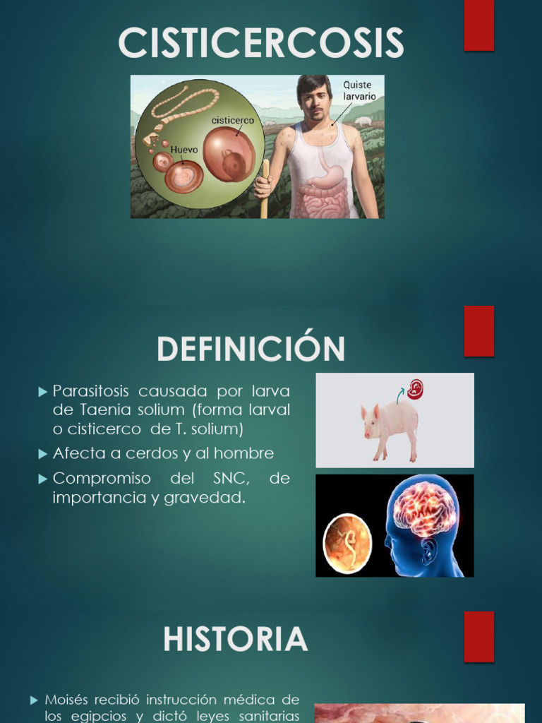 Cisticercosis: Definición y Tratamiento | PDF