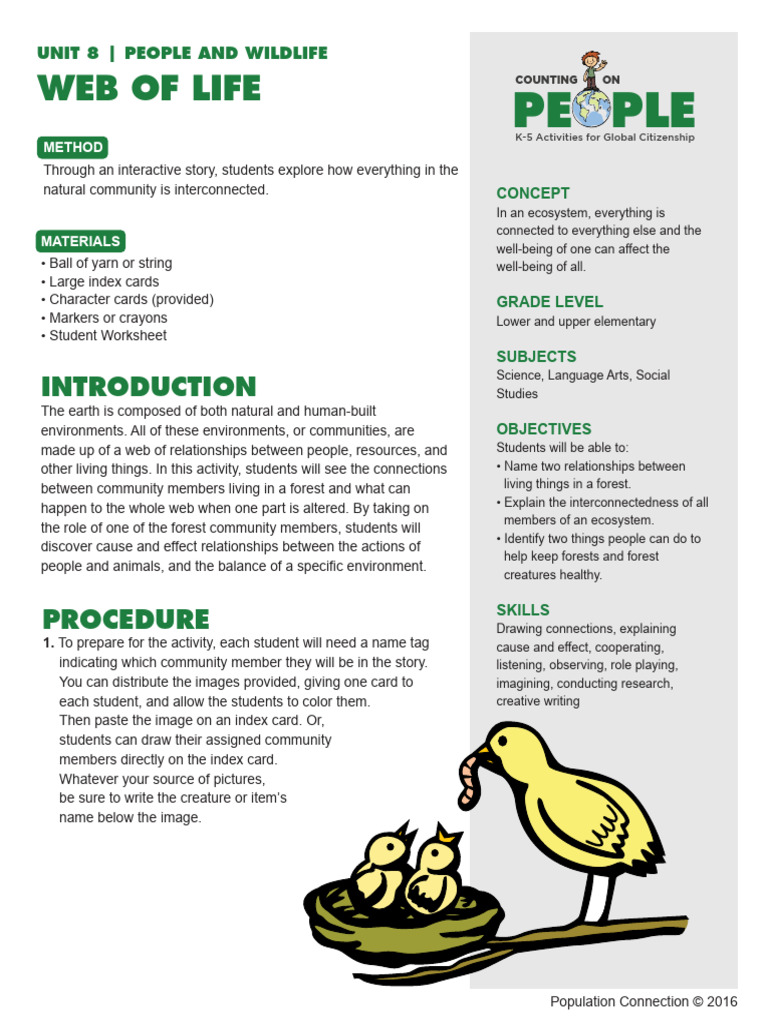 Web of Life Activity | PDF