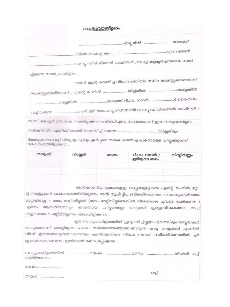 Affidavit Format | PDF