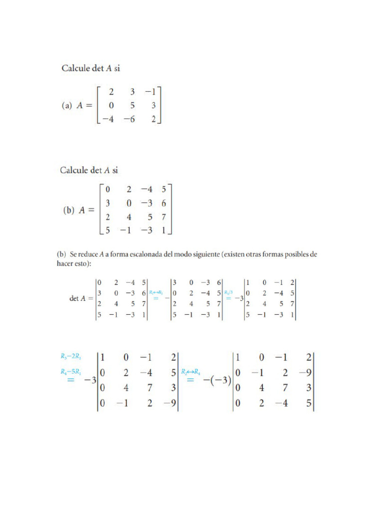 Reduccion de Matrices Triangular Superior para Determinantes | PDF