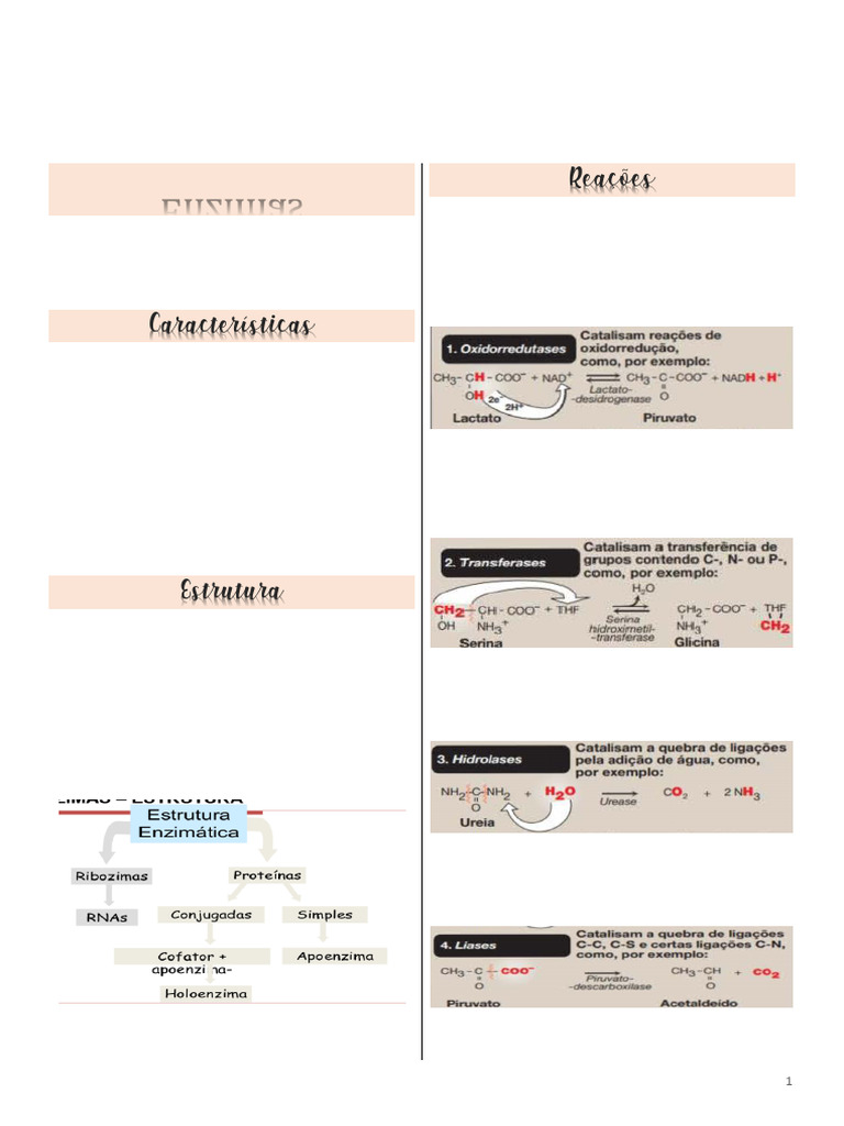 Material - Enzimas - Aula 3 (1) - Cópia | PDF | Enzima | Inibidor de enzimas