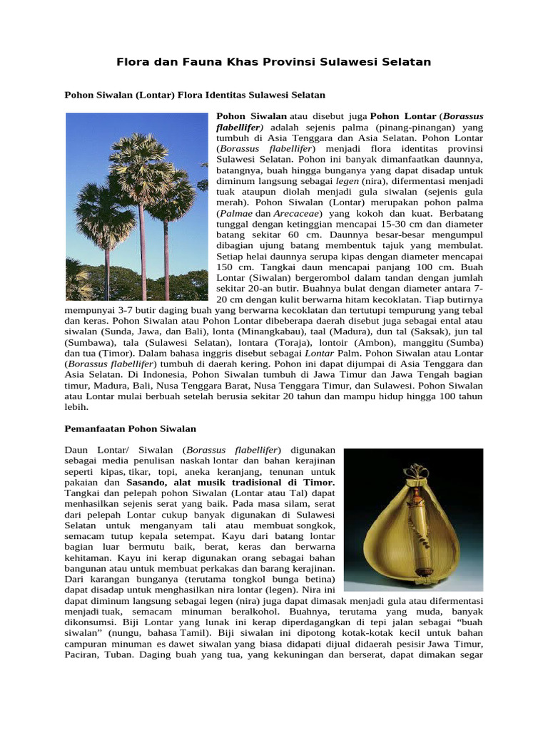 Flora Dan Fauna Khas Provinsi Sulawesi Selatan | PDF