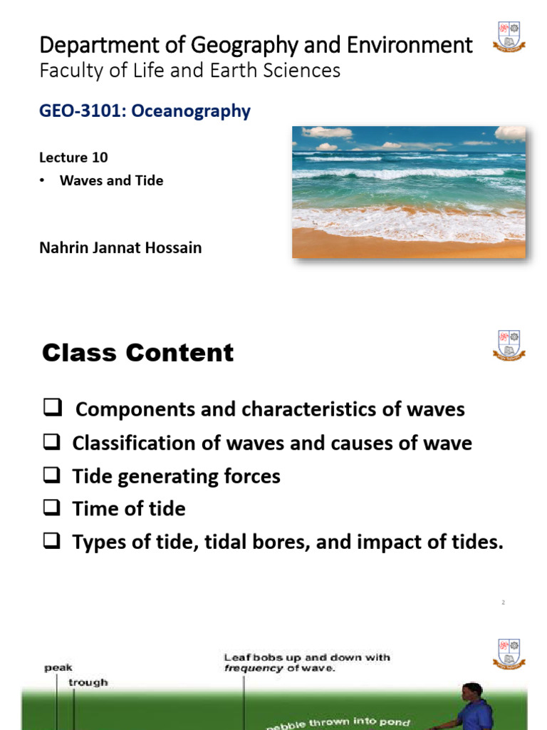 Ocean Waves and Tides Explained | PDF | Tide | Waves