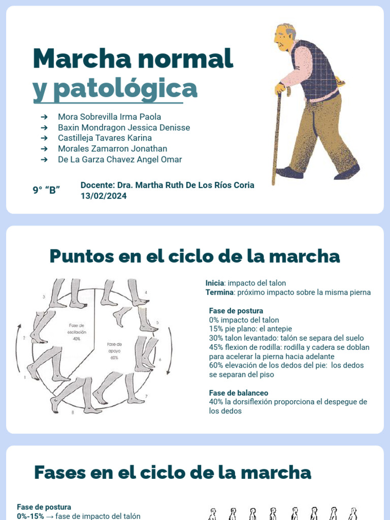 Marcha Normal y Patológica | PDF | Rodilla | Articulación