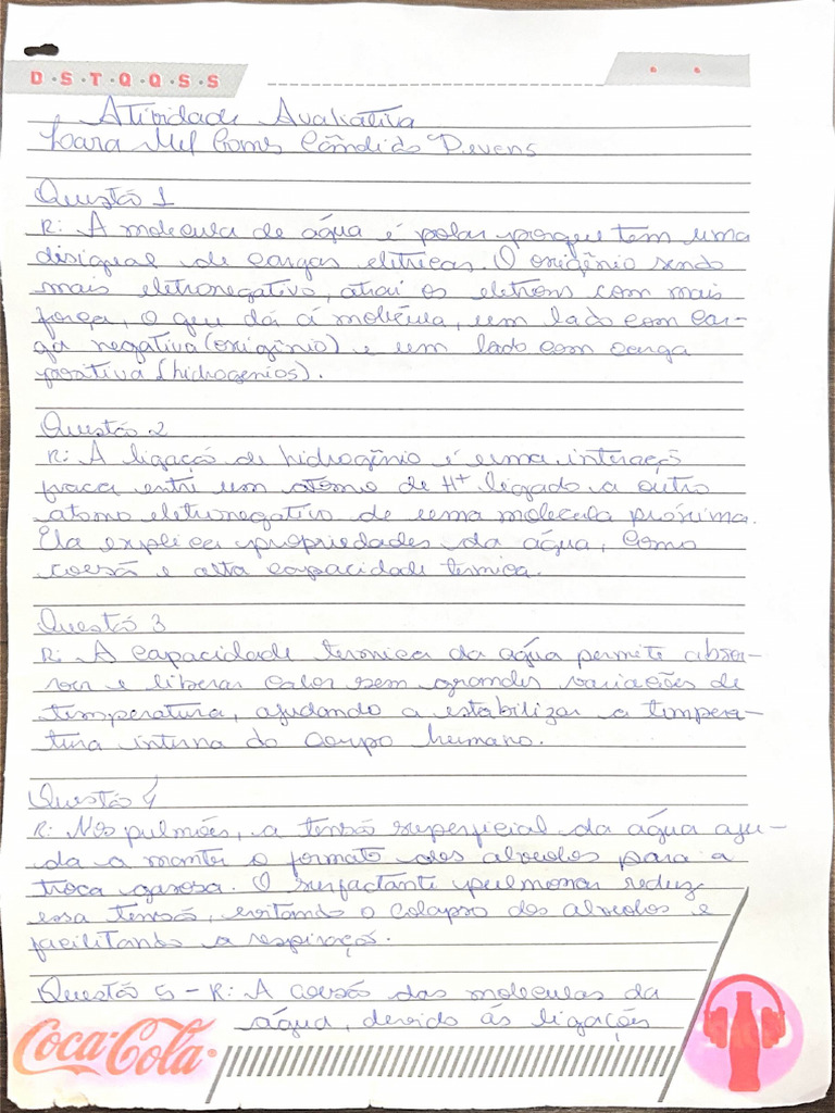 Atividade Lara Mel-Compactado | PDF
