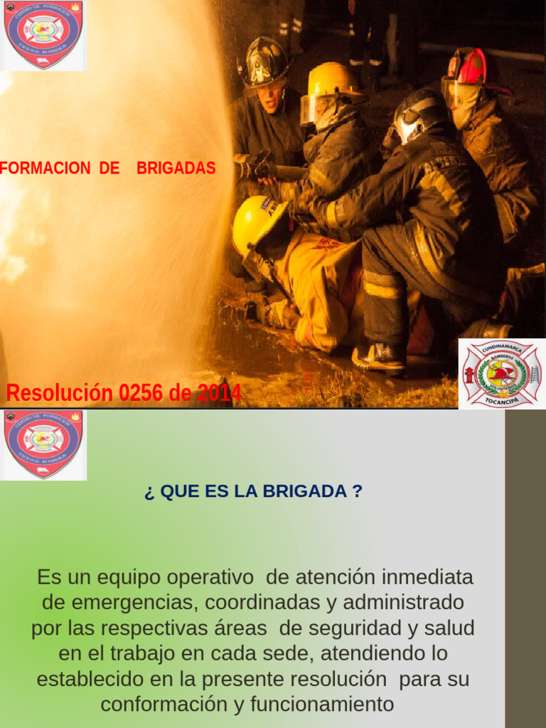 Formacion de Brigadas | PDF | Mercancías peligrosas | La seguridad