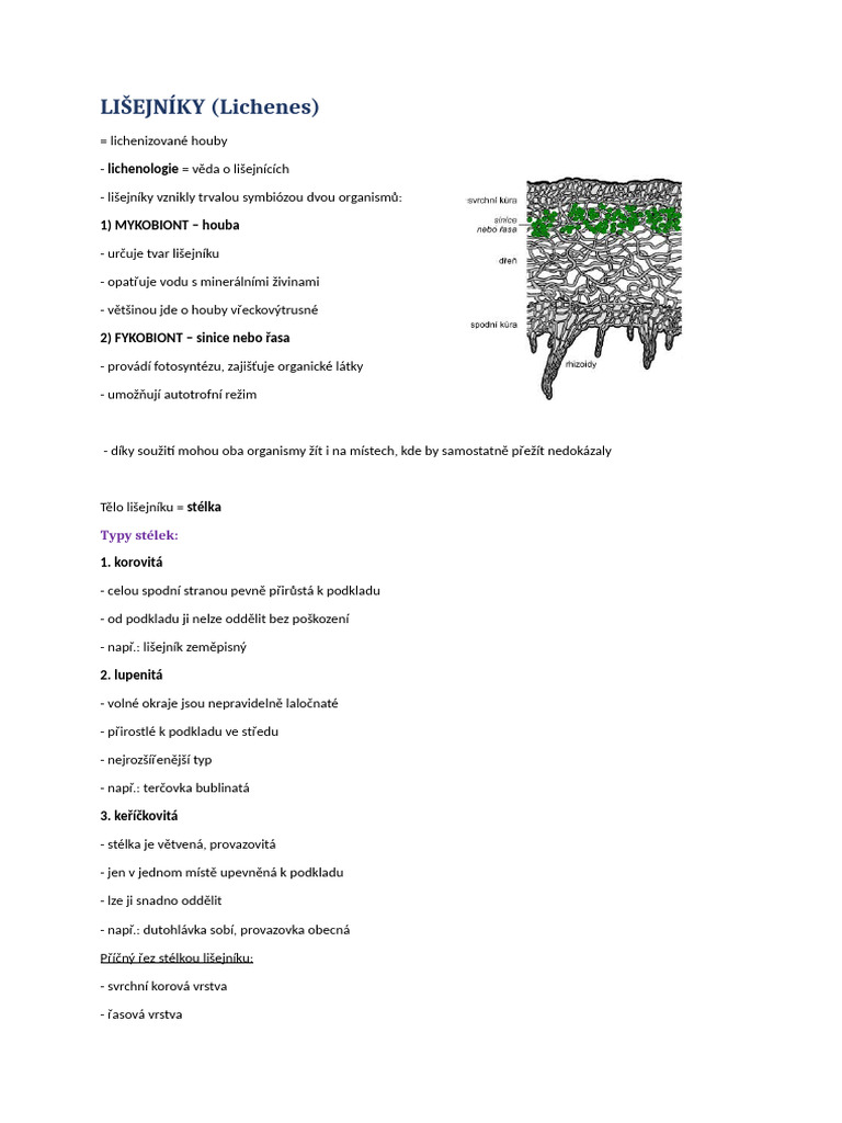 Lišejníky A Chromista | PDF