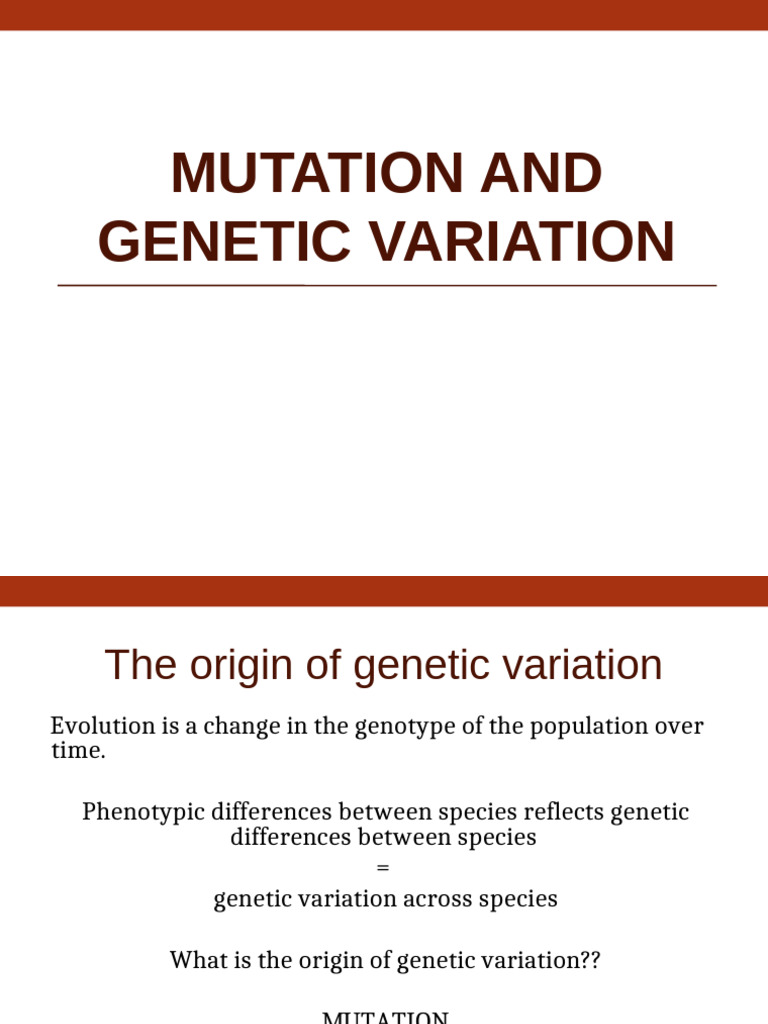 Mutation and Genetic Variation | PDF | Gene | Genetics