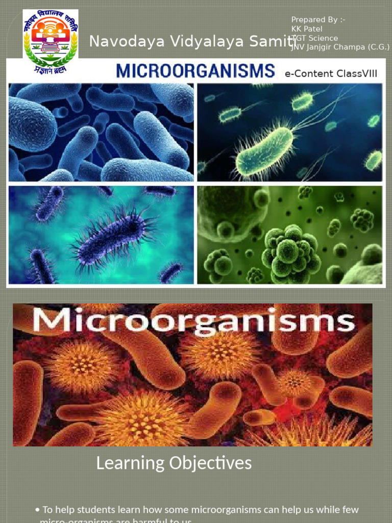 CH 2 Microorganisms 1 | PDF | Microorganism | Yeast
