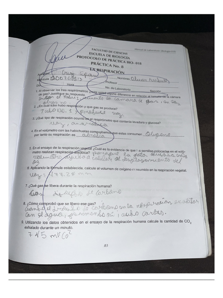 Fotos Guardadas | PDF