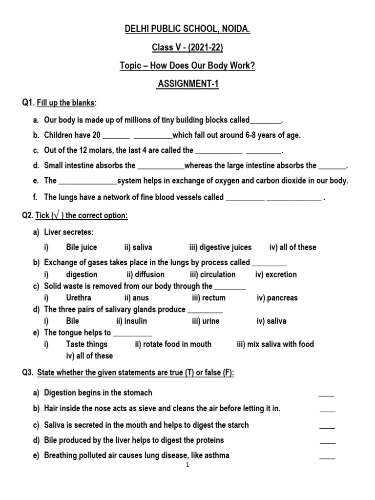 Assignment - 1 How Does Our Body Work | PDF | Digestion | Breathing