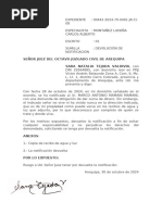 Modelo de Escrito Devolucion de Notificacion | PDF | Demanda judicial | Justicia