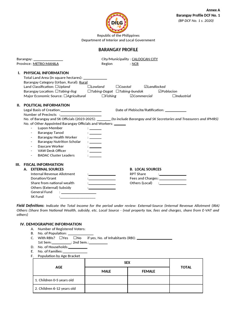 Barangay-Profile-Format 2024 | PDF | Economies