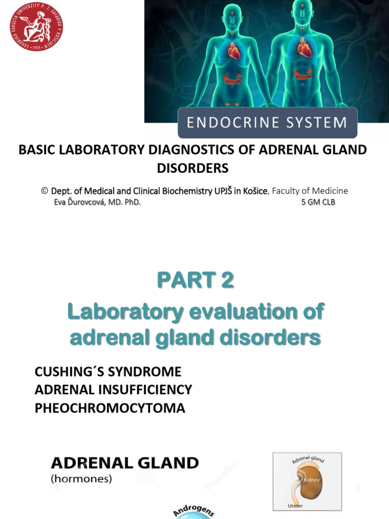 11 Endocrine Disorders2 Test For Adrenal Gland Disorders | PDF ...
