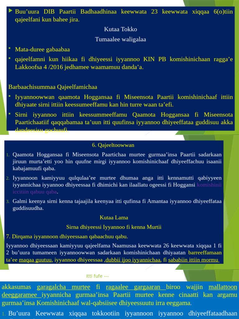 Qajeelfama Hiikaa Fi Dhiyeessi Iyyannoo KIN PB KOMISHINICHAAN | PDF