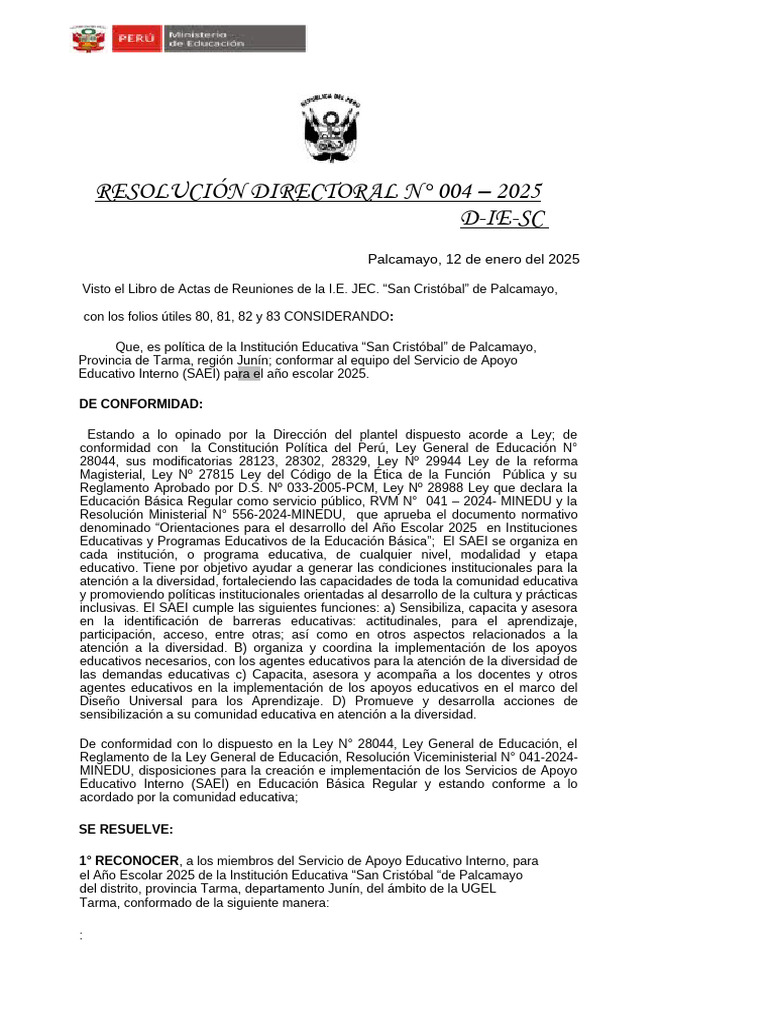 Resolución Directoral SAEI 2025 | PDF