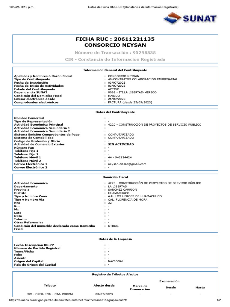Ficha Ruc Neysan | PDF | Industrias de servicio