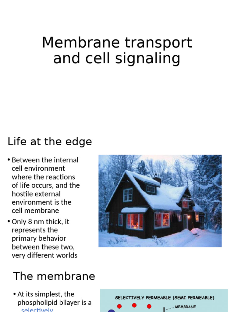 Membrane Transport and Cell Signaling | PDF | Cell Membrane | Cell Signaling