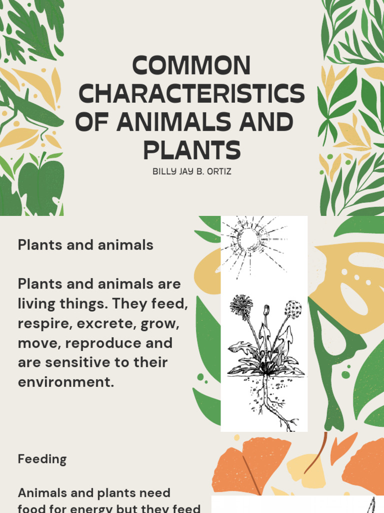 Common Traits of Plants and Animals | PDF