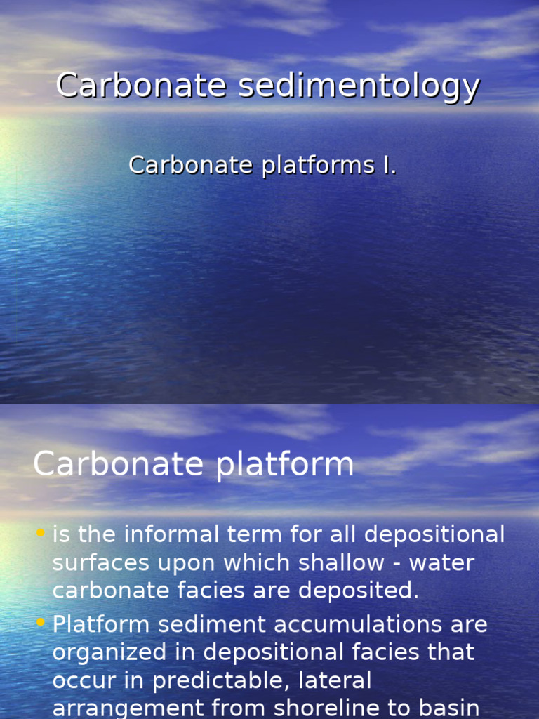 08 Carbonate Sedimentology Platform Types Beach Lagoon Reef | PDF ...