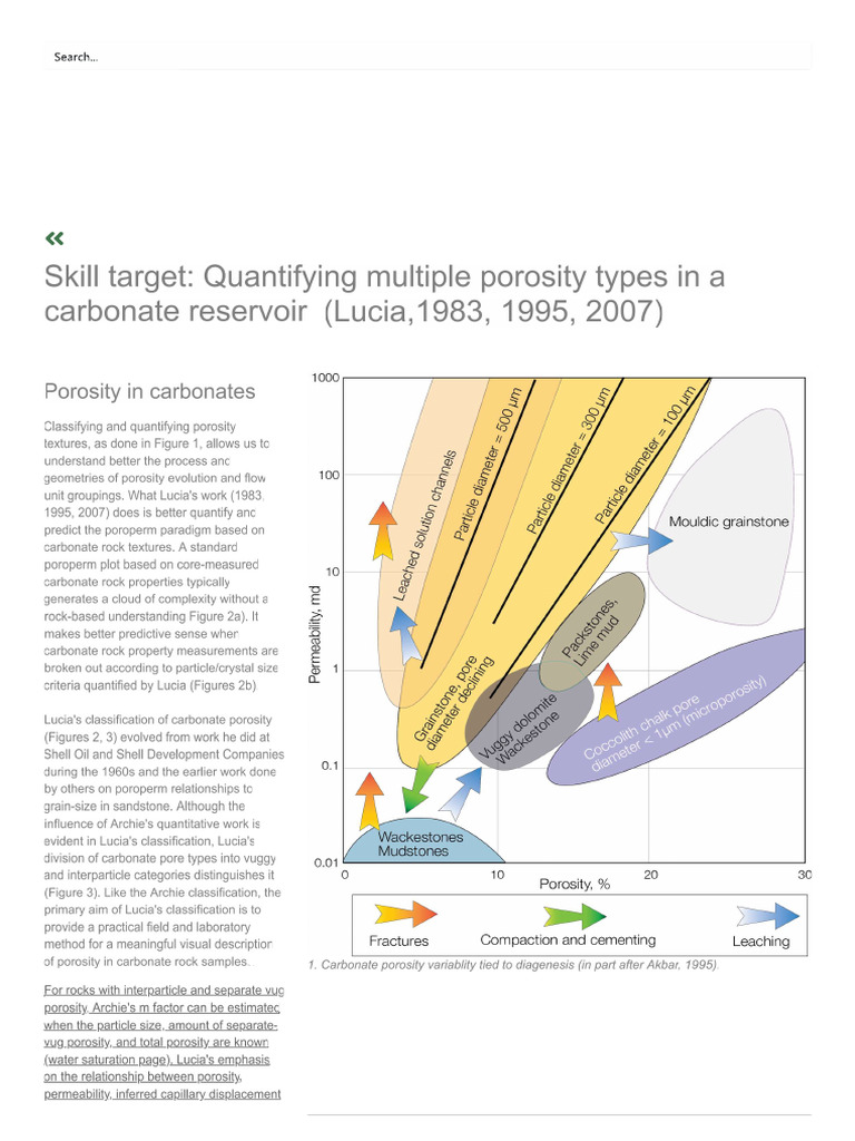 Case Study With Chart Carbonate - Dont Supp | PDF
