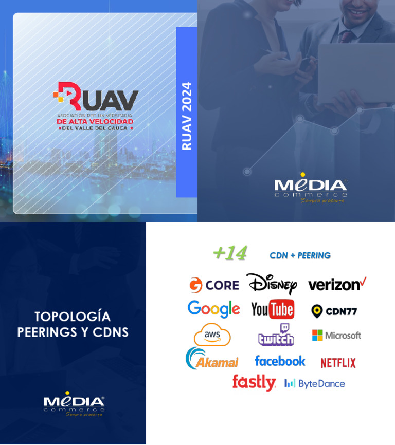Presentacion RUAV 2024 | PDF