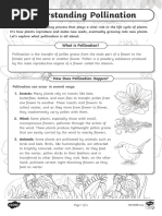 Pollination Worksheet Stage 5 Worksheet | PDF | Pollination | Science