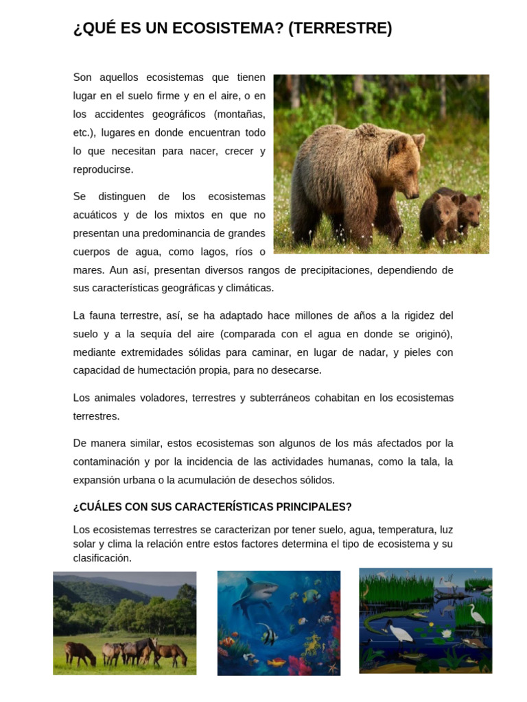 Qué Es Un Ecosistema Terrestre | PDF | Ecosistema | Suelo