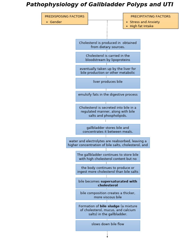Pathophysiology of Gallbladder Polyps | PDF | Bile | Gallbladder