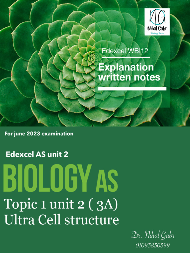 3A Handwritten Notes Full | PDF | Endoplasmic Reticulum | Cell Nucleus