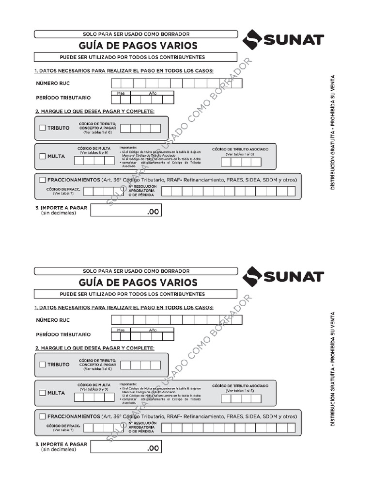Formato Pagos Varios | PDF