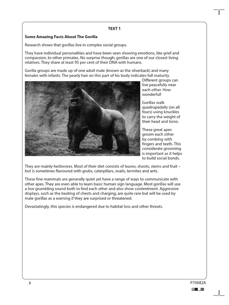 Source Booklet (6) | PDF | Gorilla | Zoology
