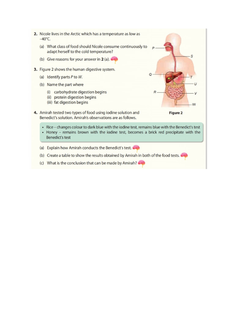 Exercise 2n CHPTR 3 | PDF