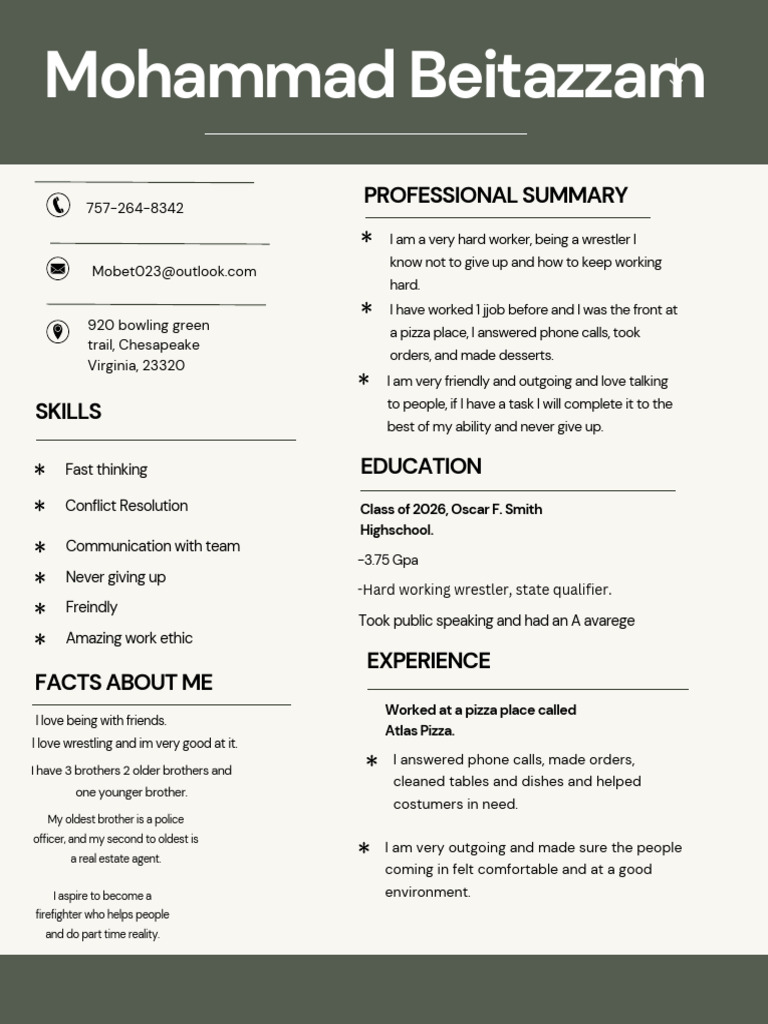 Mohammad Beitazzam's Resume Summary | PDF