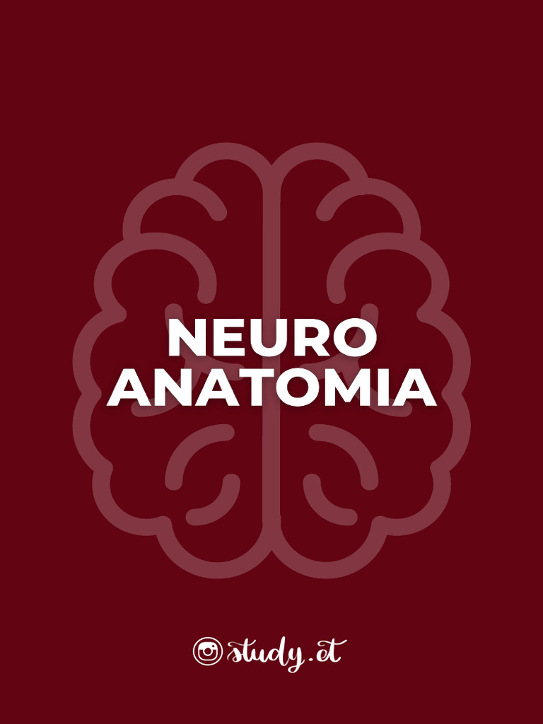 Neuro Anatomia | PDF | Sinapse | Nervo