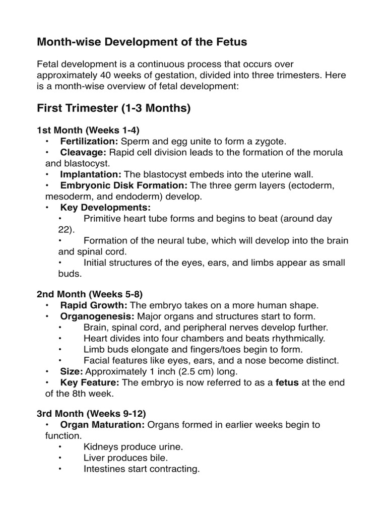 Month-by-Month Fetal Development Guide | PDF | Embryo | Anatomy