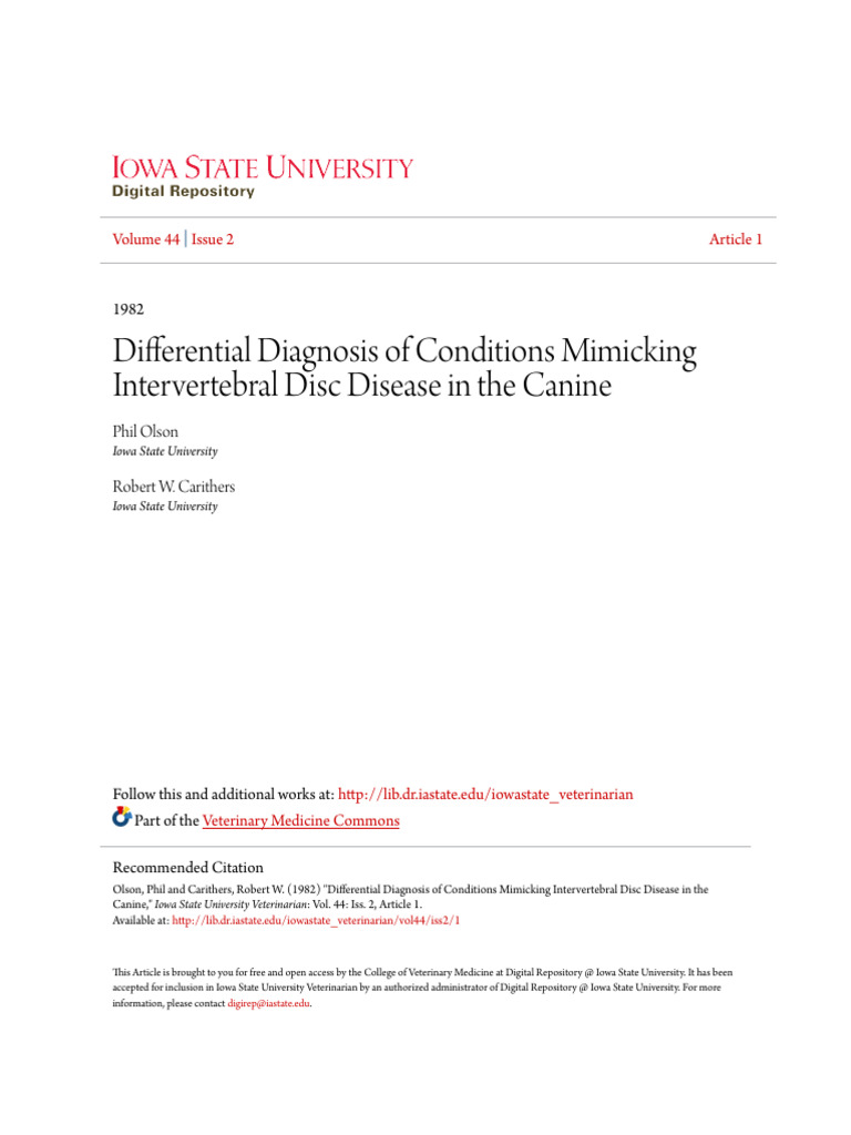 Differential Diagnosis of Conditions Mimicking Intervertebral Disk ...